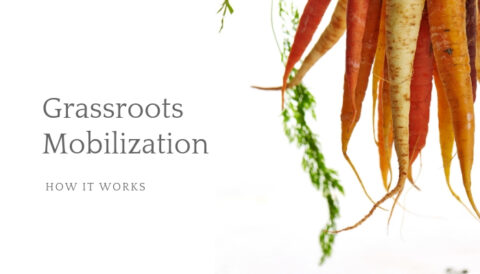 Grassroots Mobilization: Your First Guide To Spark Change