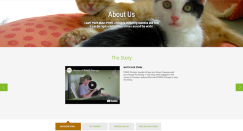 Your Exhaustive 5 Step Guide To Creating The Best Nonprofit Website