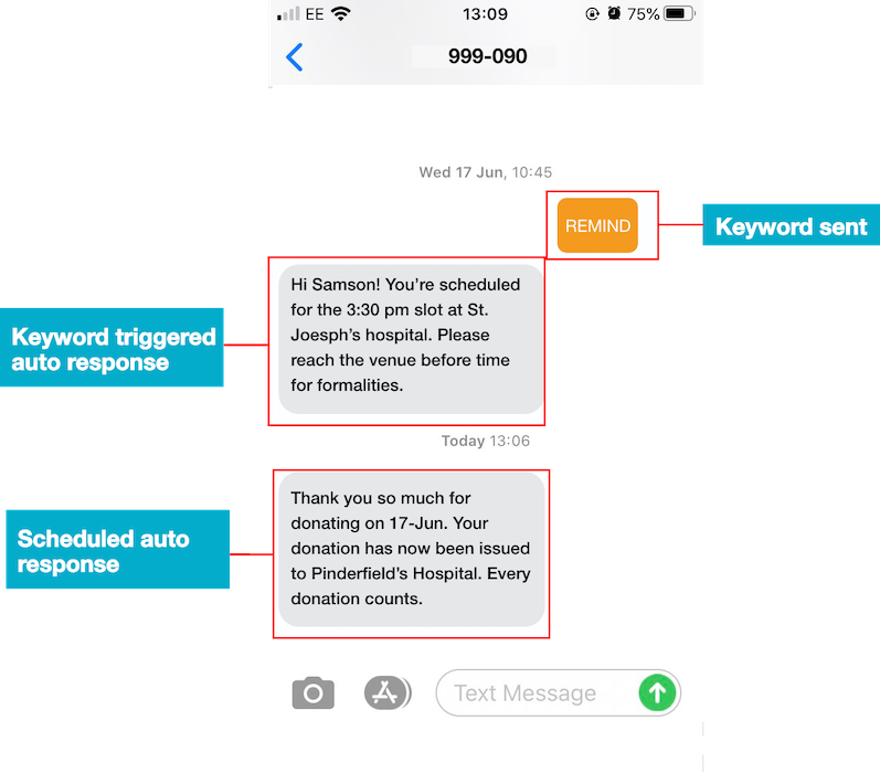 Business Sms Marketing Auto Reply Canvas smorgasbord