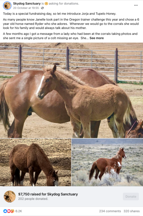 Your Guide to Successful Giving Tuesday Social Media Posts