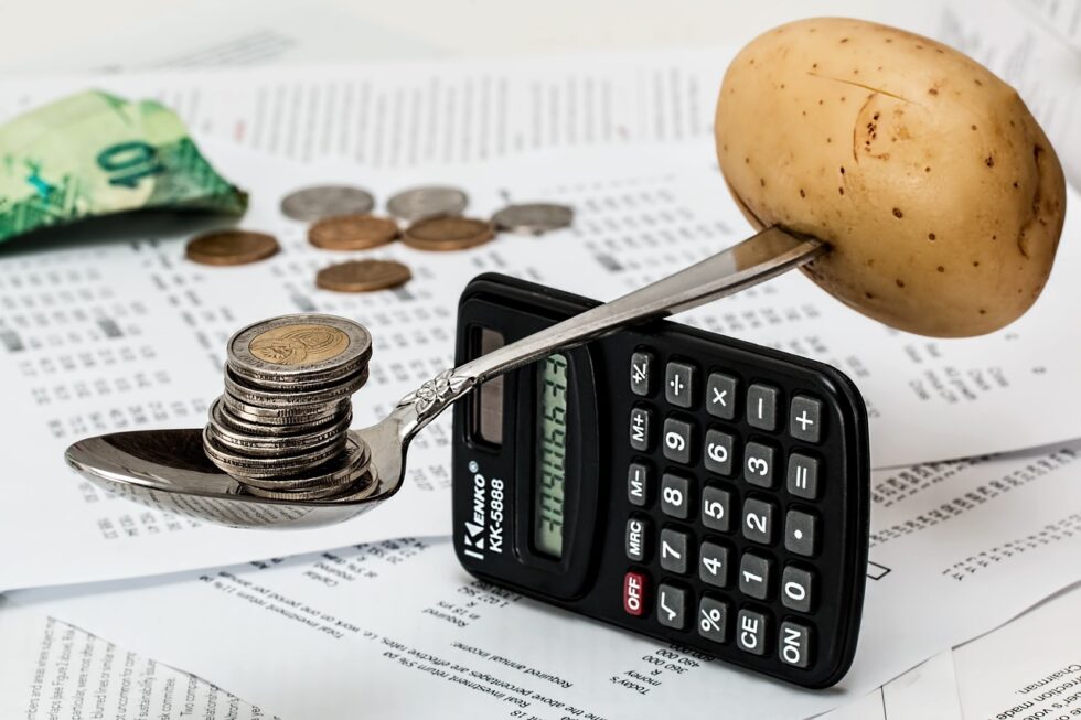 Create a Political Campaign Budget: Samples, Pro Tips and Expense Lists