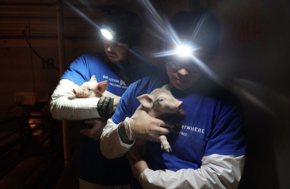 Grassroots Mobilization: Your First Guide To Spark Change